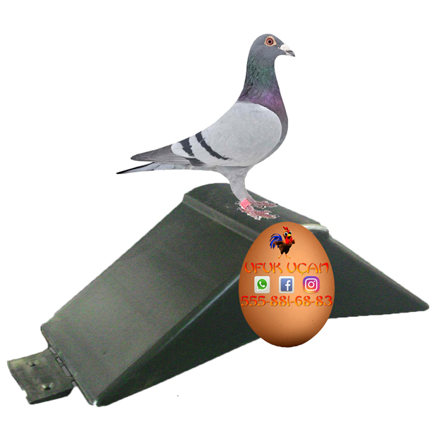 Güvercin Tünek Fiyat ve Modelleri | Kanatlı Malzemeleri